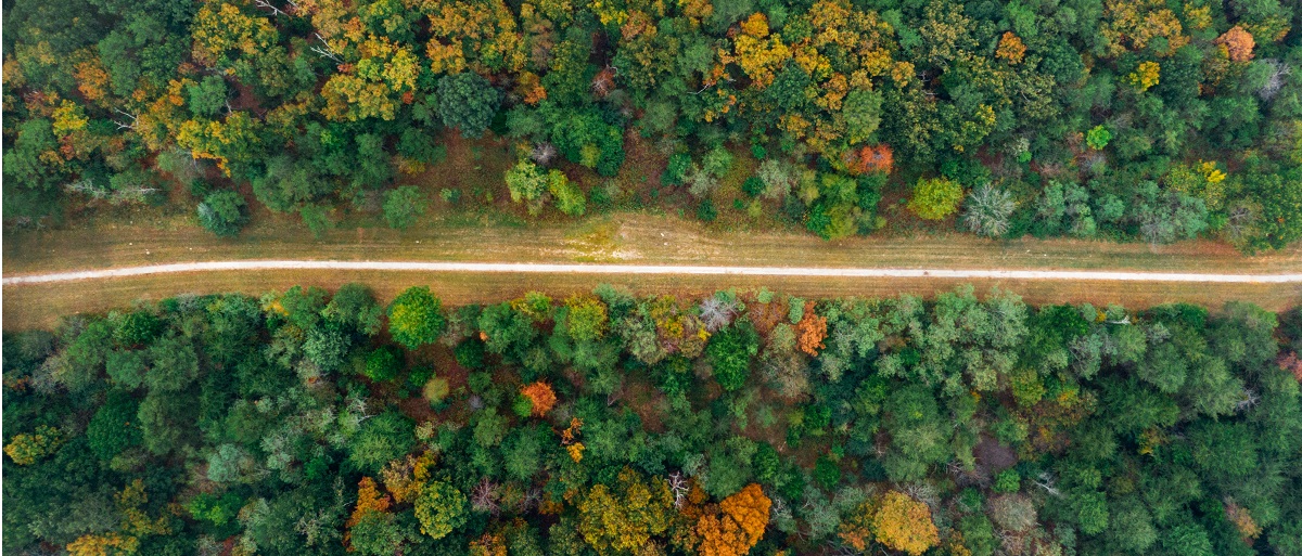 Forbearance: God’s Great Tolerance - The Master's Church