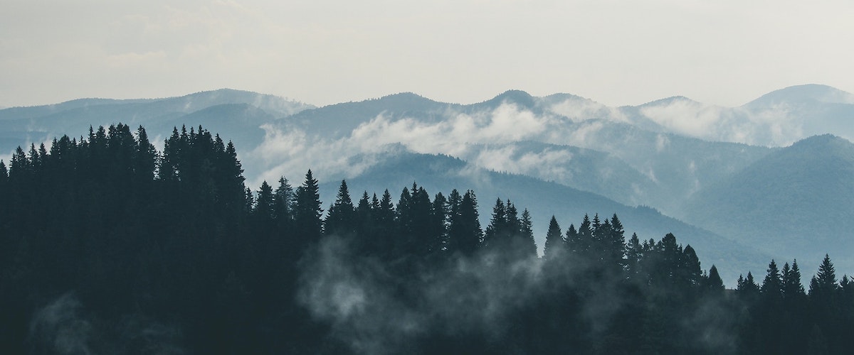 Election: God's Sovereign Choice - The Master's Church