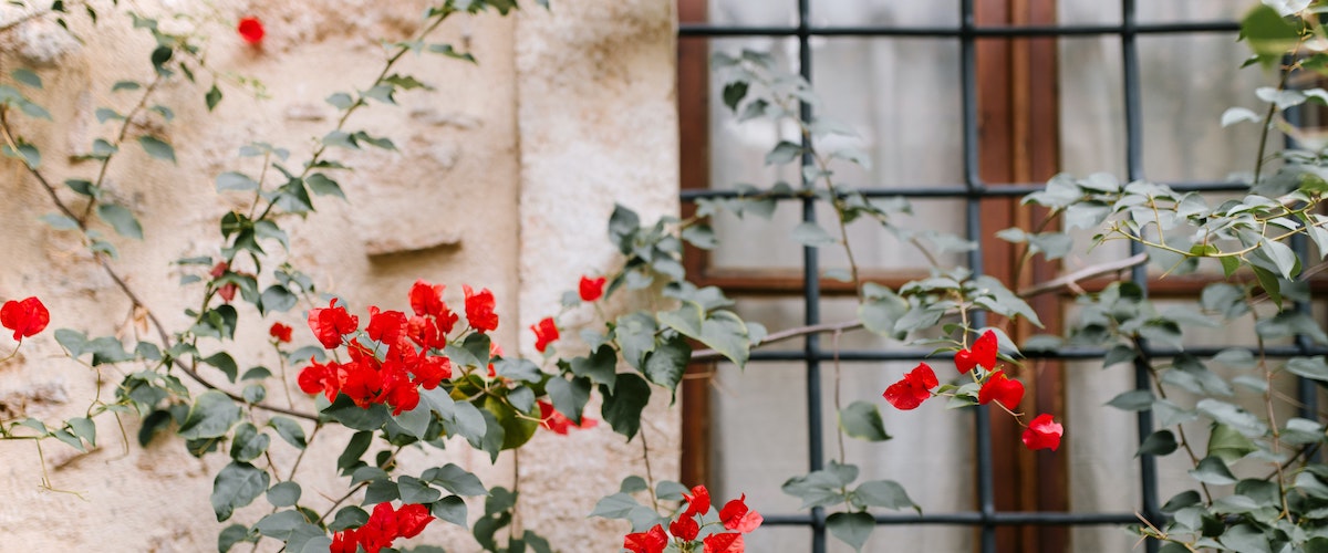 Works: Faith Working Through Love - The Master's Church