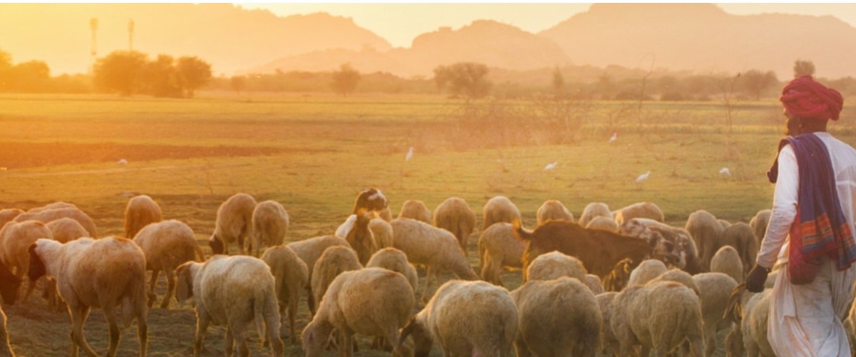 Faithfulness: Having a Steadfast Heart - The Master's Church